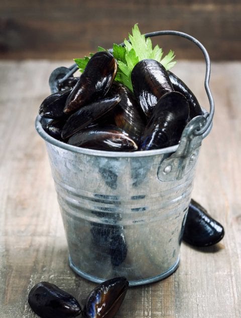 Westcountry Mussels of Fowey | The original Cornish sea mussel